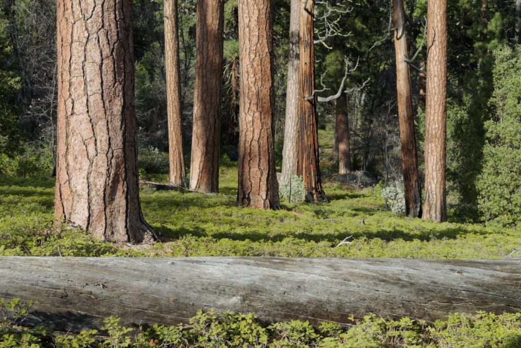 Site Archives at Alexandre Génin